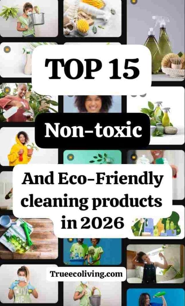 Top 15 Non Toxic and Eco Friendly Cleaning Products in 2026